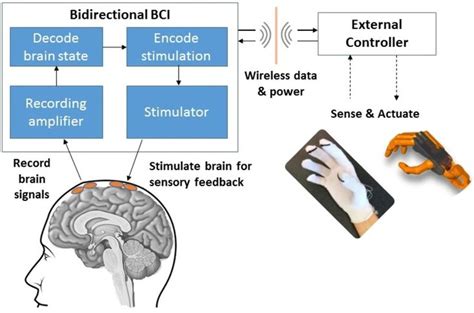 Melding Mind And Machine How Close Are We Brain Stimulation Medical Tech Stimulation
