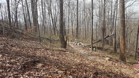 Beaman Park Tennessee Trails Association
