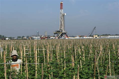 Pengamat Sektor Hulu Migas Penting Dalam Transisi Energi ANTARA News