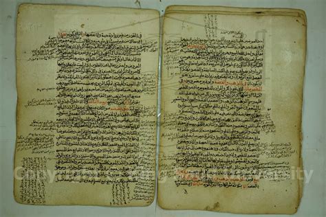مخطوطات الاقناع في حل الفاظ ابي شجاع الصفحة رقم 217