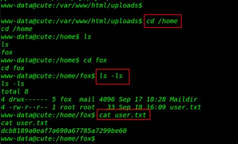 Bbs Cute Vulnhub Walkthrough Hacknos Bbs Cute Vulnhub Walkthrough
