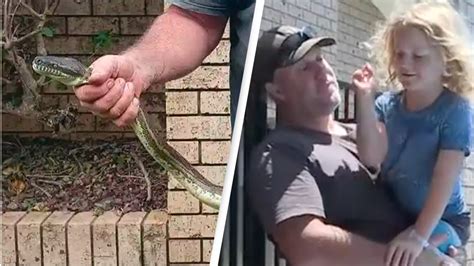 Python Attacks Five Year Old Boy And Drags Him Into Swimming Pool