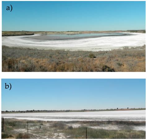 Remote Sensing Special Issue What Can Remote Sensing Do For The