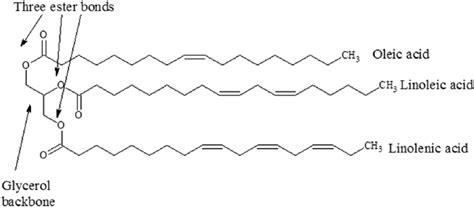 Vegetable Oil Structure