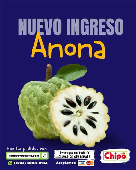 ChipÓ Chipo Pro • Instagram Photos And Videos