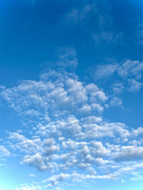 Hackathon Background Photos Download The Best Free Hackathon