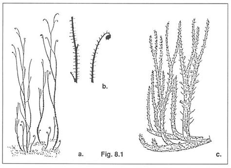 File GSG GLA FIG MediaWiki