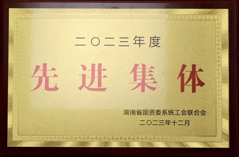湖南建工建筑材料有限公司 荣誉资质