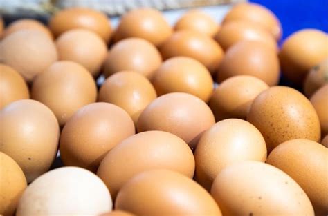 La OCU analiza 30 marcas de huevos diferentes cuáles son los más