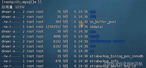 Mysql备份恢复（xtrabackup）xtrabackup 恢复 Csdn博客