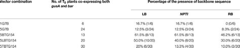 The Presence Of Vector Backbone Sequence In Transgenic Lines Derived Download Table