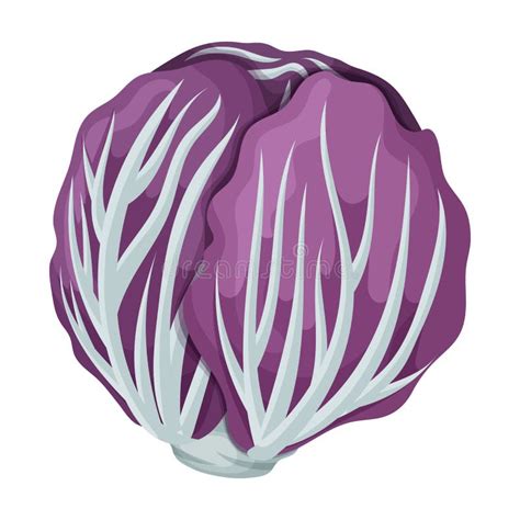 Cabbage Cartoon Stock Illustrations 7582 Cabbage Cartoon Stock