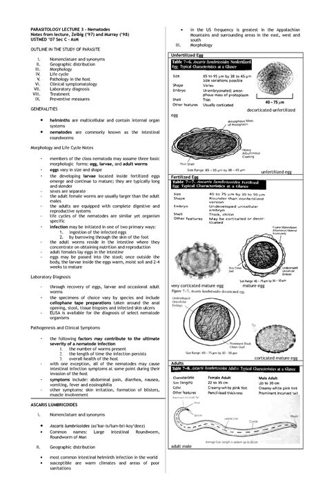 Lecture Notes Medical Technology Parasitology Nematodes Bs Medical