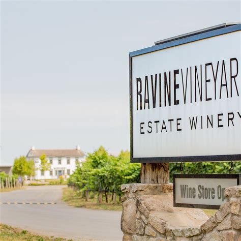 Ravine Vineyard Estate Winery 2025 All You Must Know Before You Go W