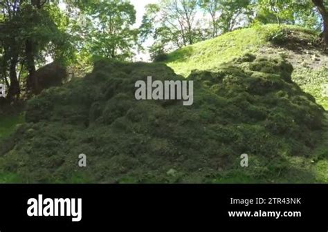 Lawn Dry Mown Grass Stock Videos And Footage Hd And 4k Video Clips Alamy