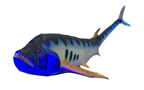 Xiphactinus Size