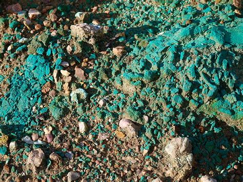 Tipos Contaminación Del Suelo Y Tratamiento De Suelos Contaminados