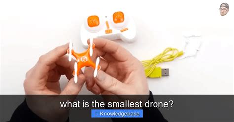 What Is The Smallest Drone