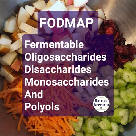 Holistic What The Fodmap Fodmap Is Short For Fermentable Oligosaccharides Disaccharides