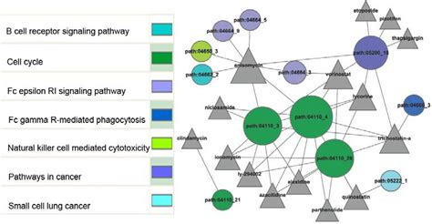 Small Molecules Perturb The Sub Pathways In As The Triangular Nodes