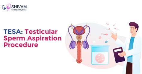 Tesa Testicular Sperm Aspiration Procedure