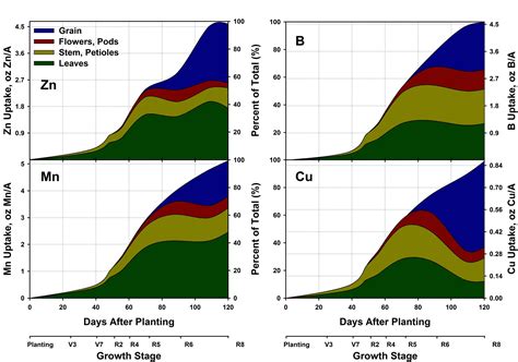 Nutrient Uptake And Partitioning Crop Physiology