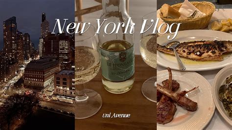 Ny Vlog 아스토리아 안녕 브루클린으로 이사 마지막 동네 최애 그릭 레스토랑에서 만찬 우당탕탕 이사 브이로그 퀘벡에서 온 아이스와인🥂 뉴욕 일상 브이로그
