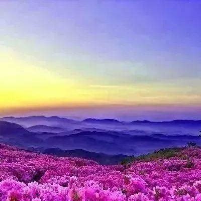 告别九月迎接十月 自律