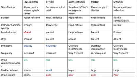 NEUROGENIC BLADDER Pptx