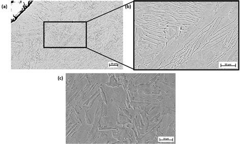 Delta Ferrite Martensitic At Mason Mullan Blog