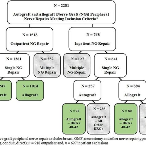 Patient Selection Flow Chart Autograft And Allograft Nerve Repair Download Scientific Diagram