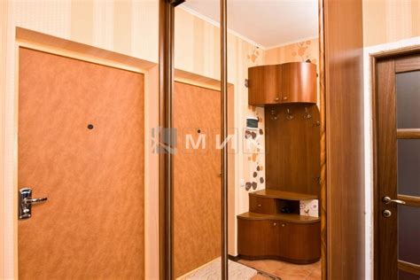 Шкаф купе в прихожую (коридор), фасады пескоструй с рисунком