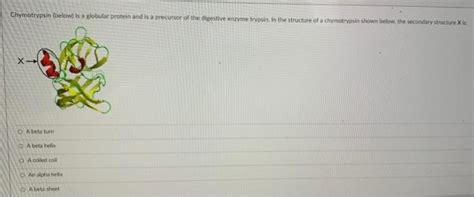 Solved Chymotrypsin Below Is A Globular Protein And Is A