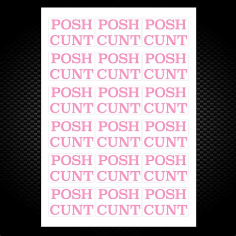 Posh Cunt Sticker Pack Rude Stickers Slightly Disturbed