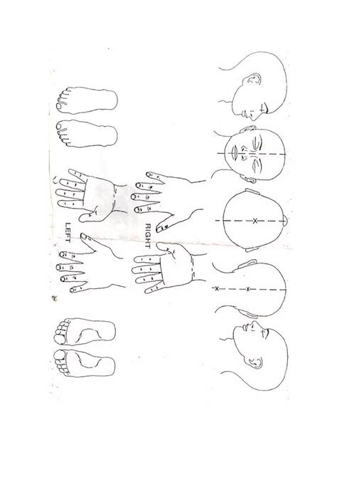 Buku Clinical Skill Forensik Docx