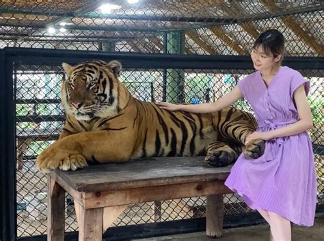 【海外旅行】週末弾丸2泊で満喫！プーケット女子旅のススメ① 観光•アクティビティ編 More