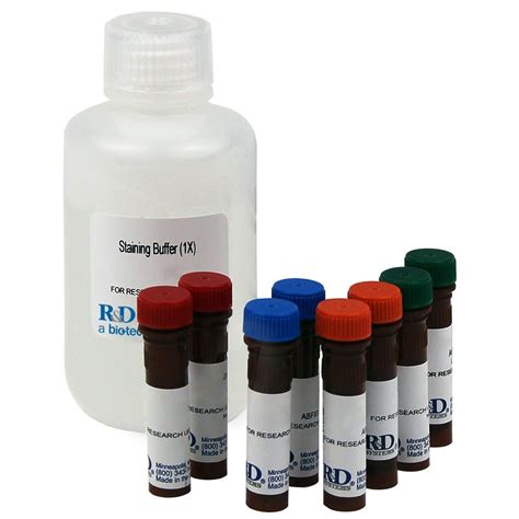 Flowx Human Nk Cell Phenotyping Flow Cytometry Kit Fmc033 Randd Systems