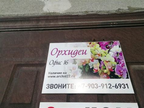 Orchid22, шоу-рум, ул. Анатолия, 4, Барнаул — Яндекс Карты