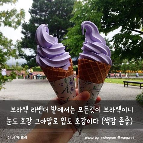 디너의여왕 라벤더 아이스크림