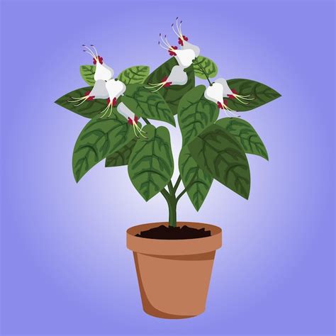 Premium Vector Flower Pot Vector