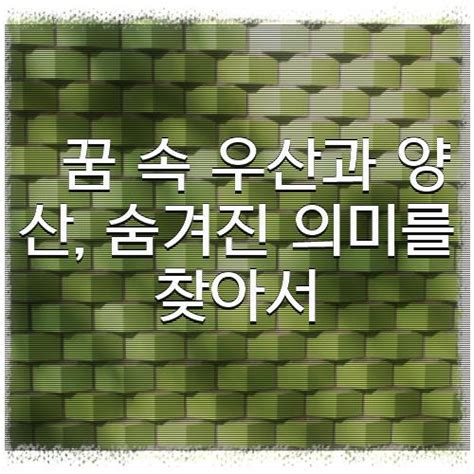 꿈 속 우산과 양산 숨겨진 의미를 찾아서