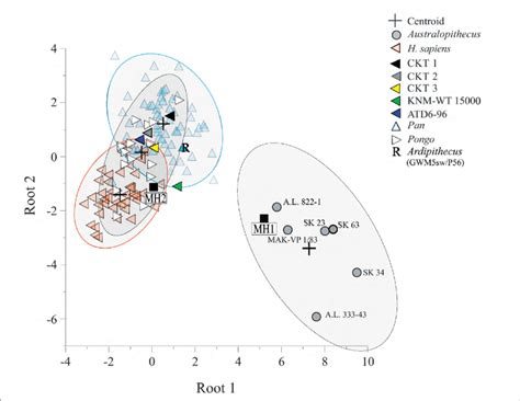Discriminant Function Plot Including Ckt Choukoutien Knm Wt 15000 Download Scientific