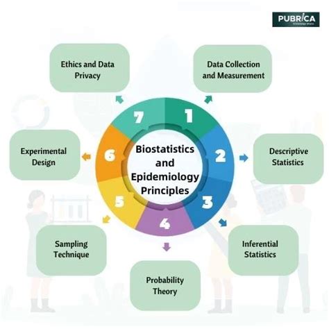 Understanding Incidence And Prevalence In Toxicology Biostatistics And Epidemiology Principles