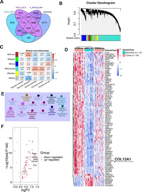 identification of potential mrna biomarkers for icca patients a venn download scientific