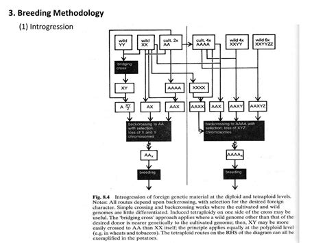 Ppt Ch9 Breeding By Interspecific Or Intergeneric Hybridization