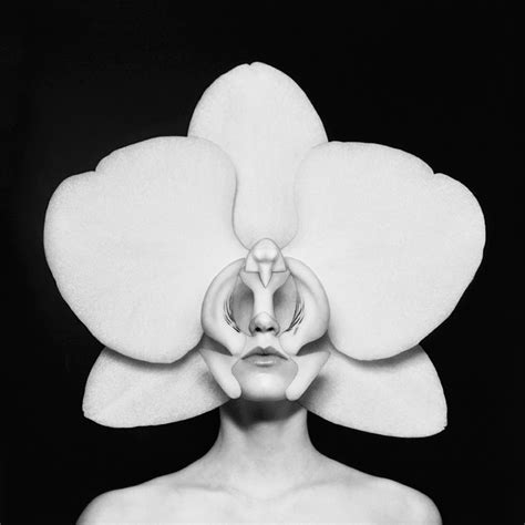 Alexandra Bellissimo Highlike