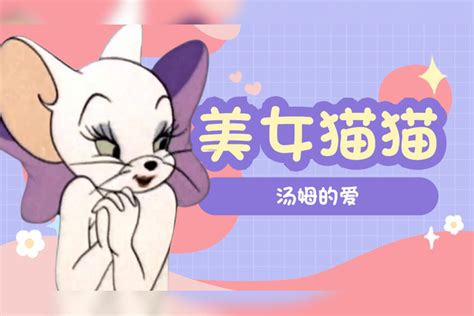 猫和老鼠：汤姆猫最后的深情，还是只给了美女猫 汤姆 深情 美女