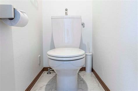 Singapore Cops Save Chinese Lady Trapped In Condo Toilet For 4 Days
