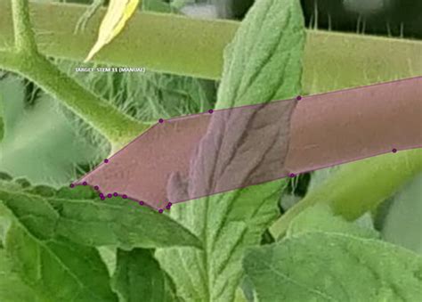 Example Of Teacher Data In Segmentation Download Scientific Diagram