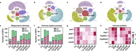Venn Plots Of Differentially Expressed Proteins Deps The Number In